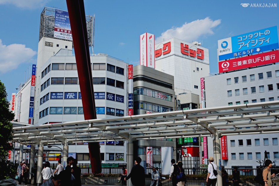 [JAPAN] Spring Memories at Showa Kinen Park – Tachikawa Tokyo ...