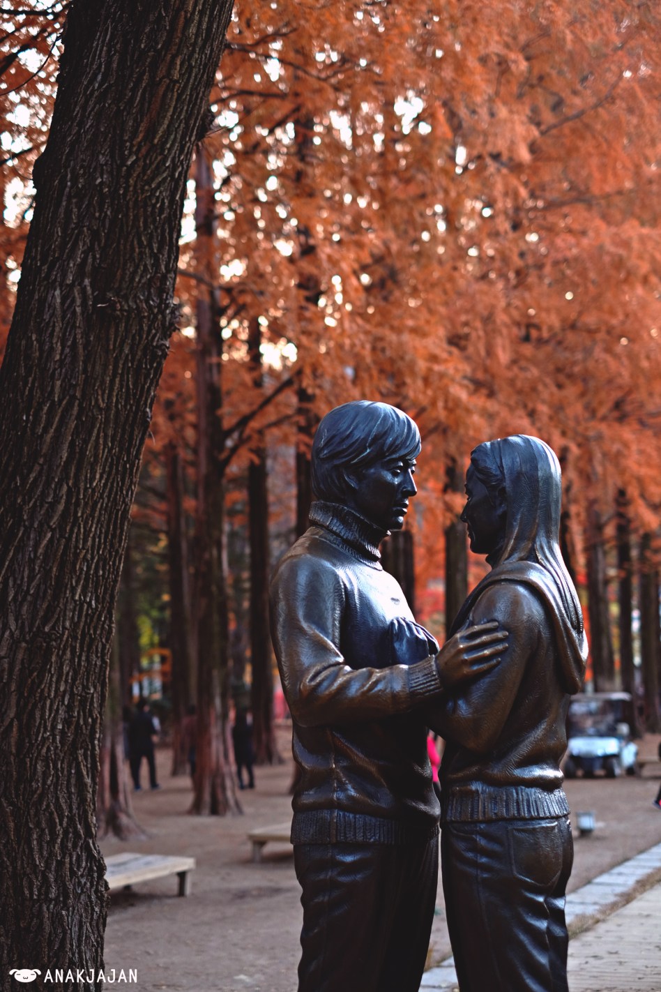 [KOREA] NAMI ISLAND (NAMISEOM) – Travel Guide | ANAKJAJAN.COM