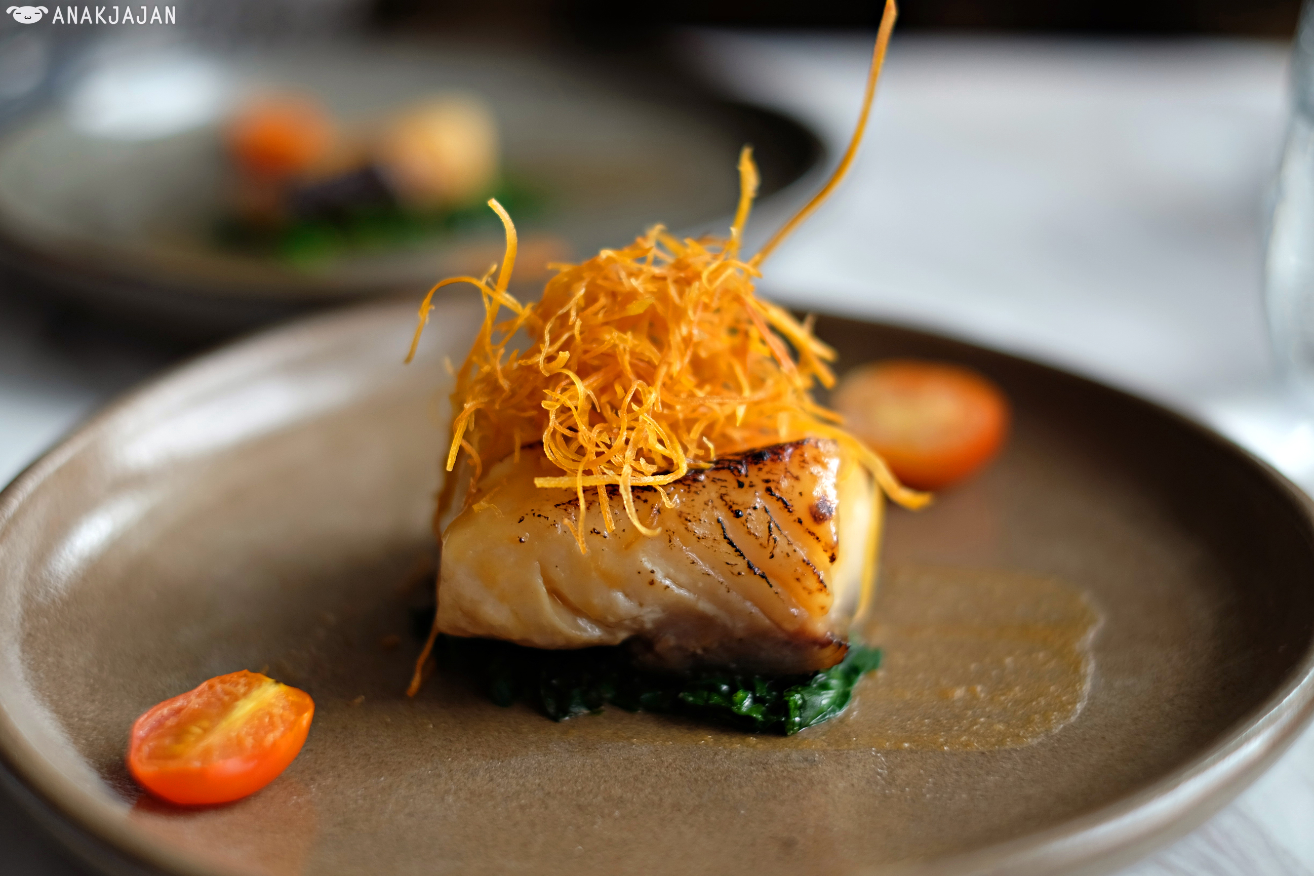 Fat Shogun | ANAKJAJAN.COM