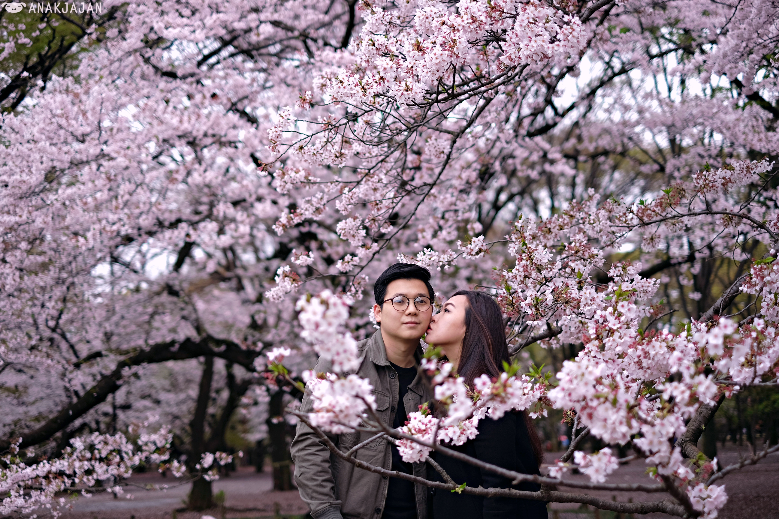 [JAPAN] CHERRY BLOSSOM (SAKURA) GUIDE – Best Spots in Tokyo | ANAKJAJAN.COM