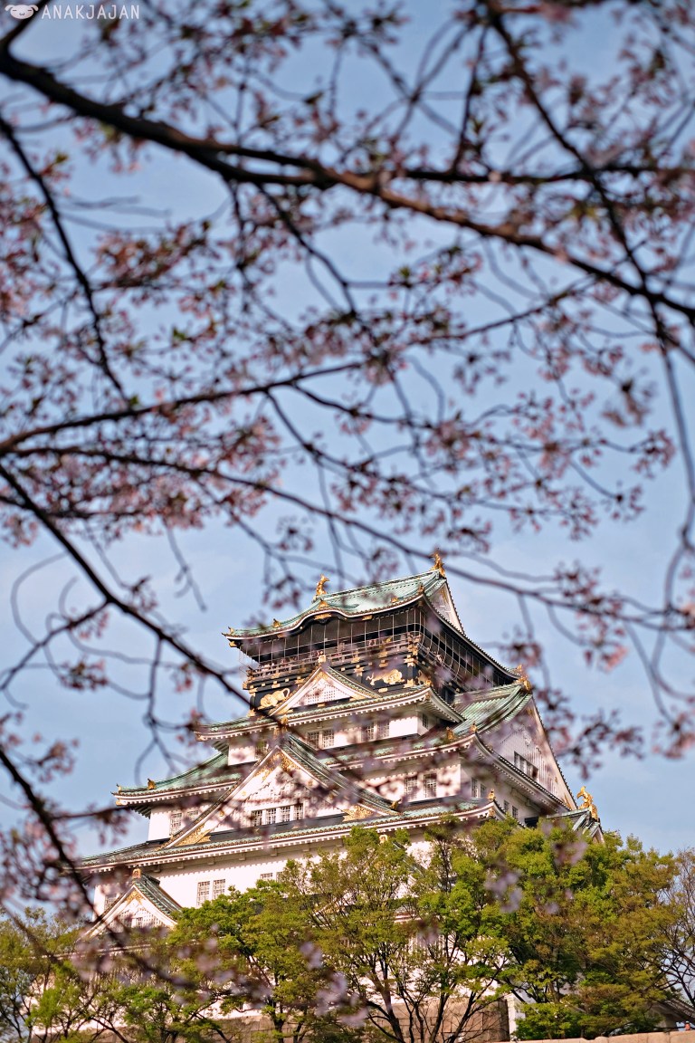 [JAPAN] OSAKA SPRING TRAVEL GUIDE for Best CHERRY BLOSSOM (Sakura ...
