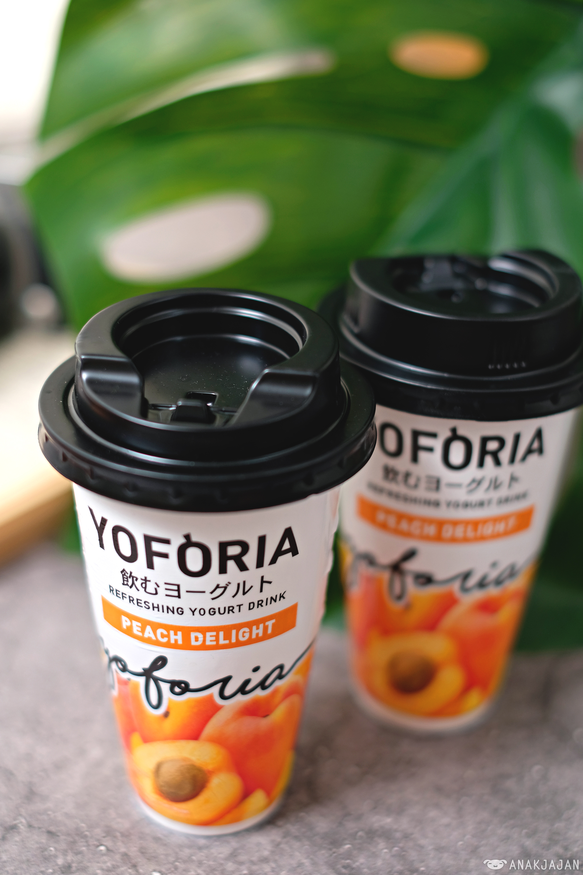 YOFORIA – Refreshing Yoghurt Drink | ANAKJAJAN.COM