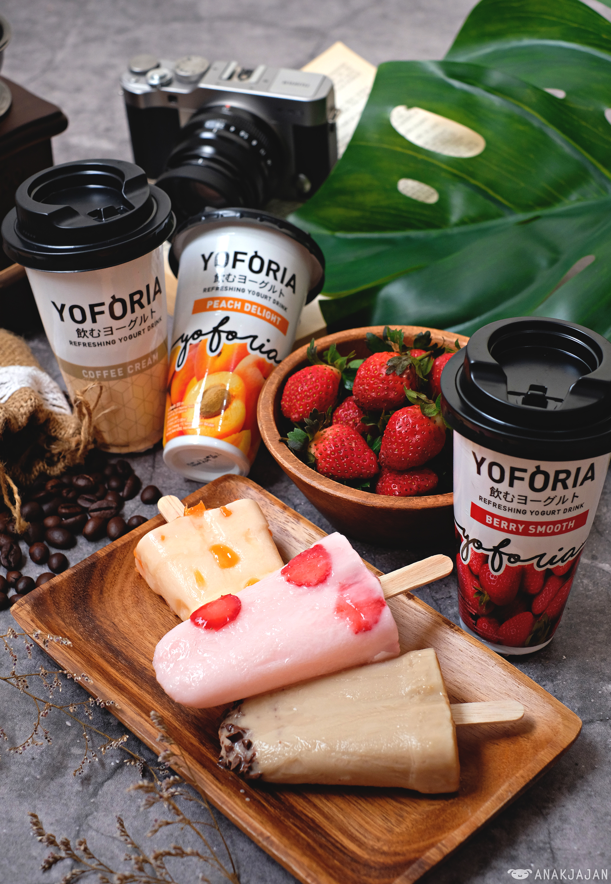 YOFORIA – Refreshing Yoghurt Drink | ANAKJAJAN.COM