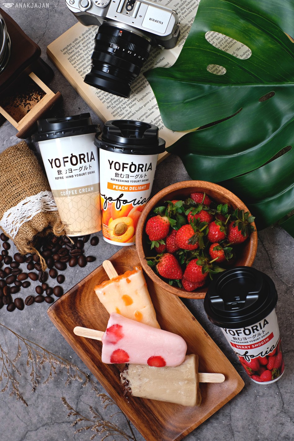 YOFORIA – Refreshing Yoghurt Drink | ANAKJAJAN.COM