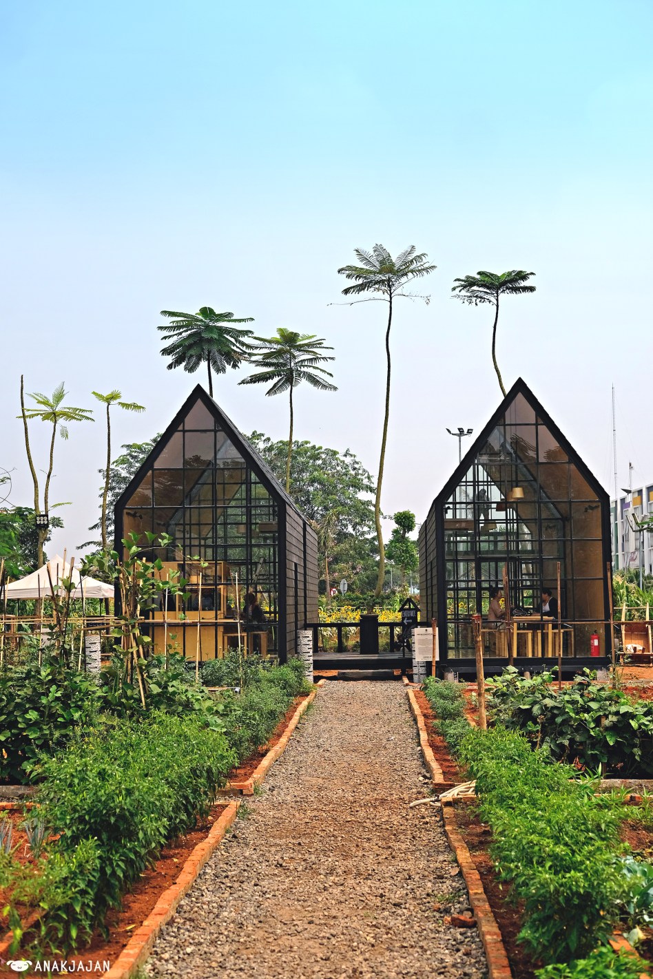 SUNFLOWER FIELD – Arumdalu Farm, SSQ PARK | ANAKJAJAN.COM