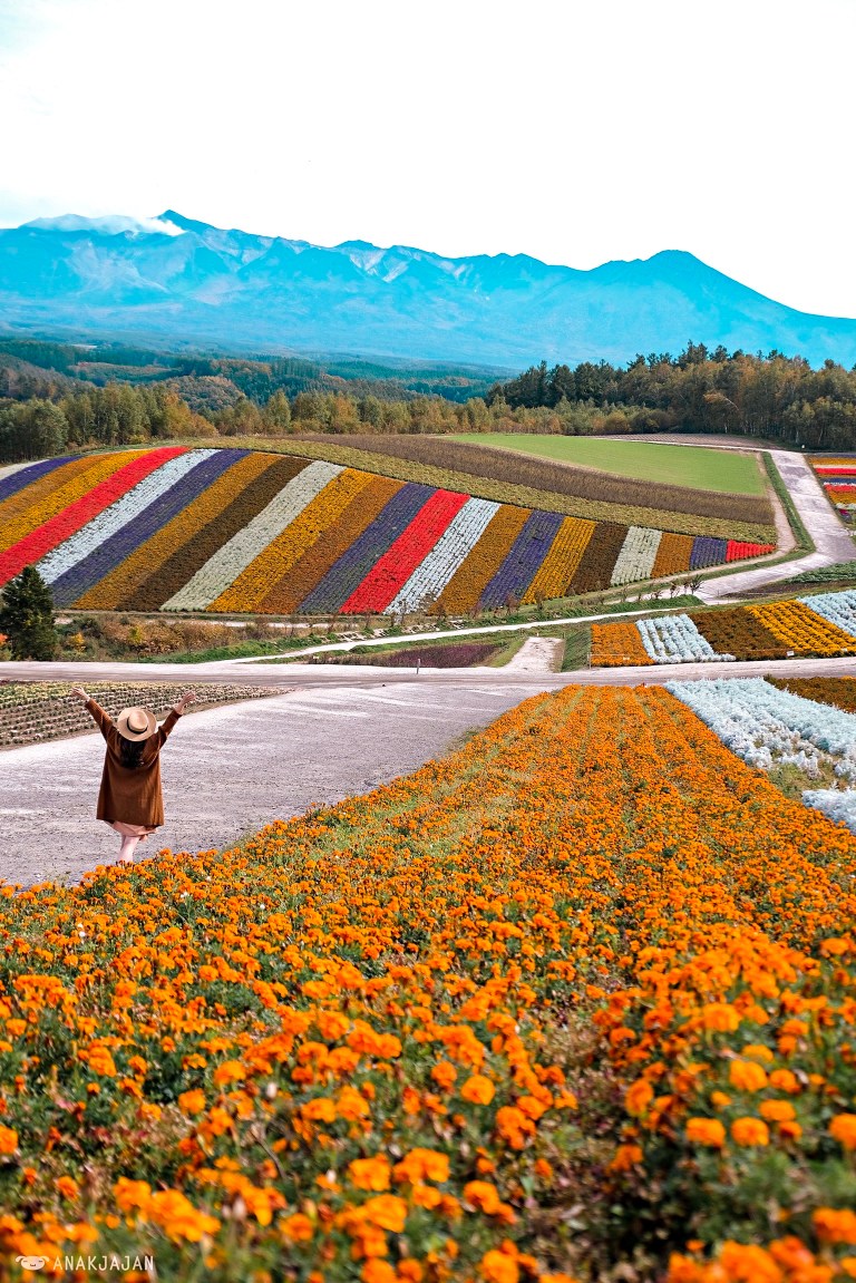 [JAPAN] FURANO & BIEI, HOKKAIDO: FOOD & TRAVEL GUIDE – Things to Do ...